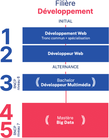 Bachelors & Mastères en développement web | L'École Multimédia
